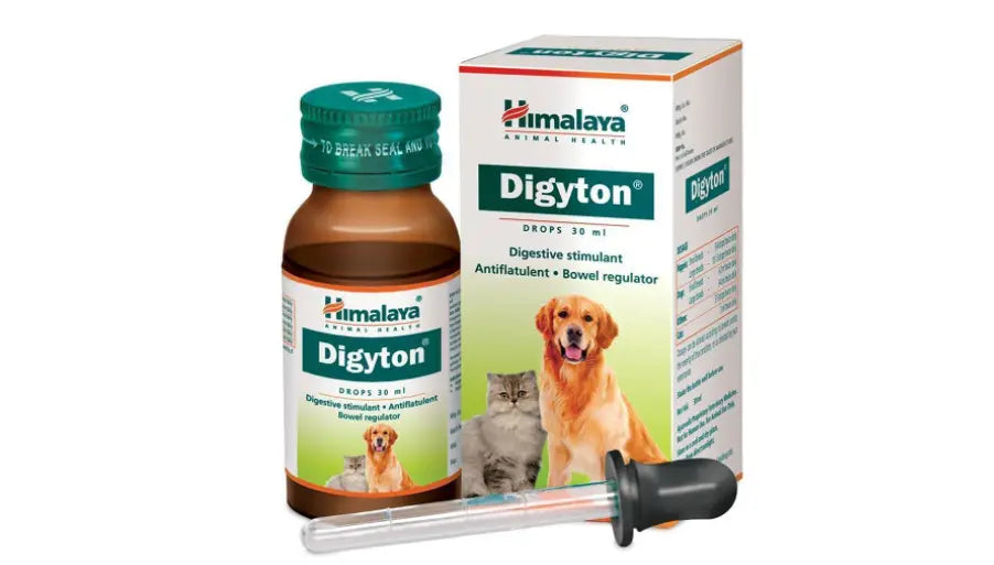 Himalaya digyton drops 30ml pack of 3 freeshipping - Amanpetshop-